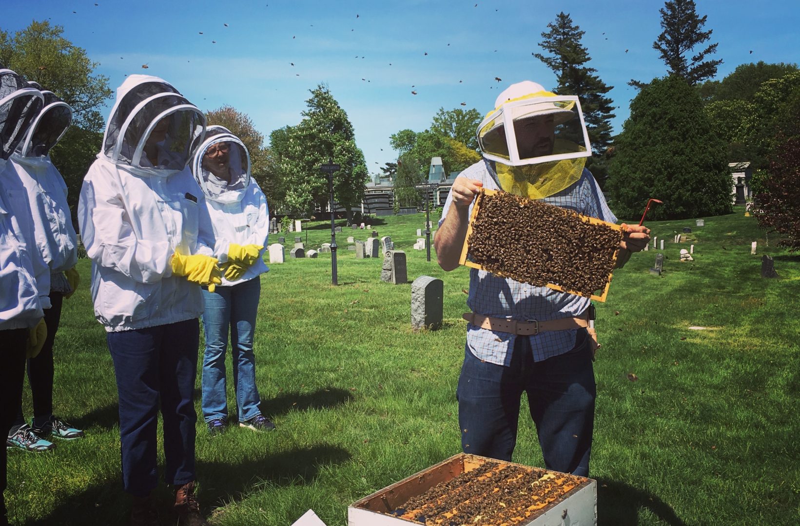 Things Every New Beekeeper Should Think About - The NYC Beekeeper