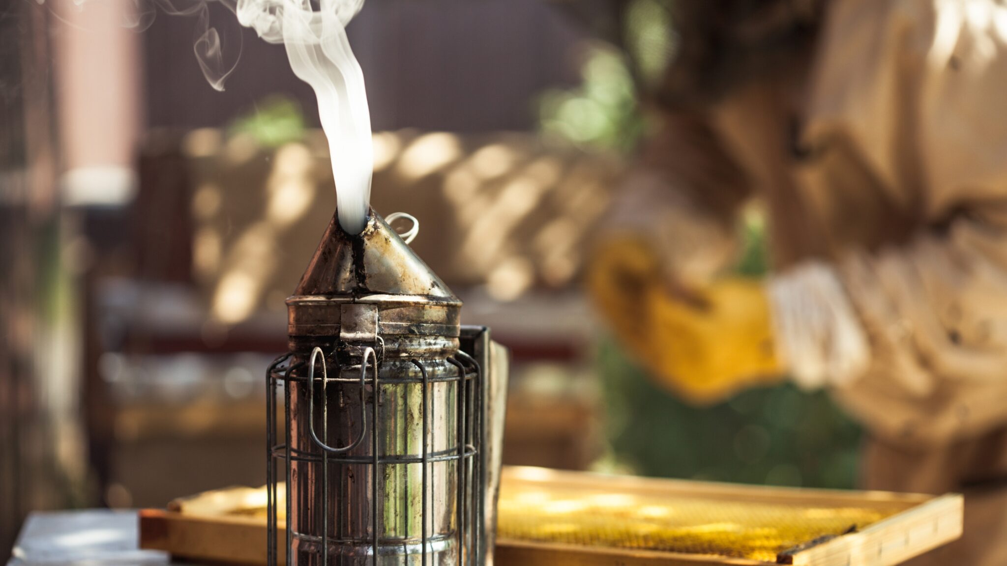 The Simple Guide To Lighting Your Bee Smoker - The NYC Beekeeper