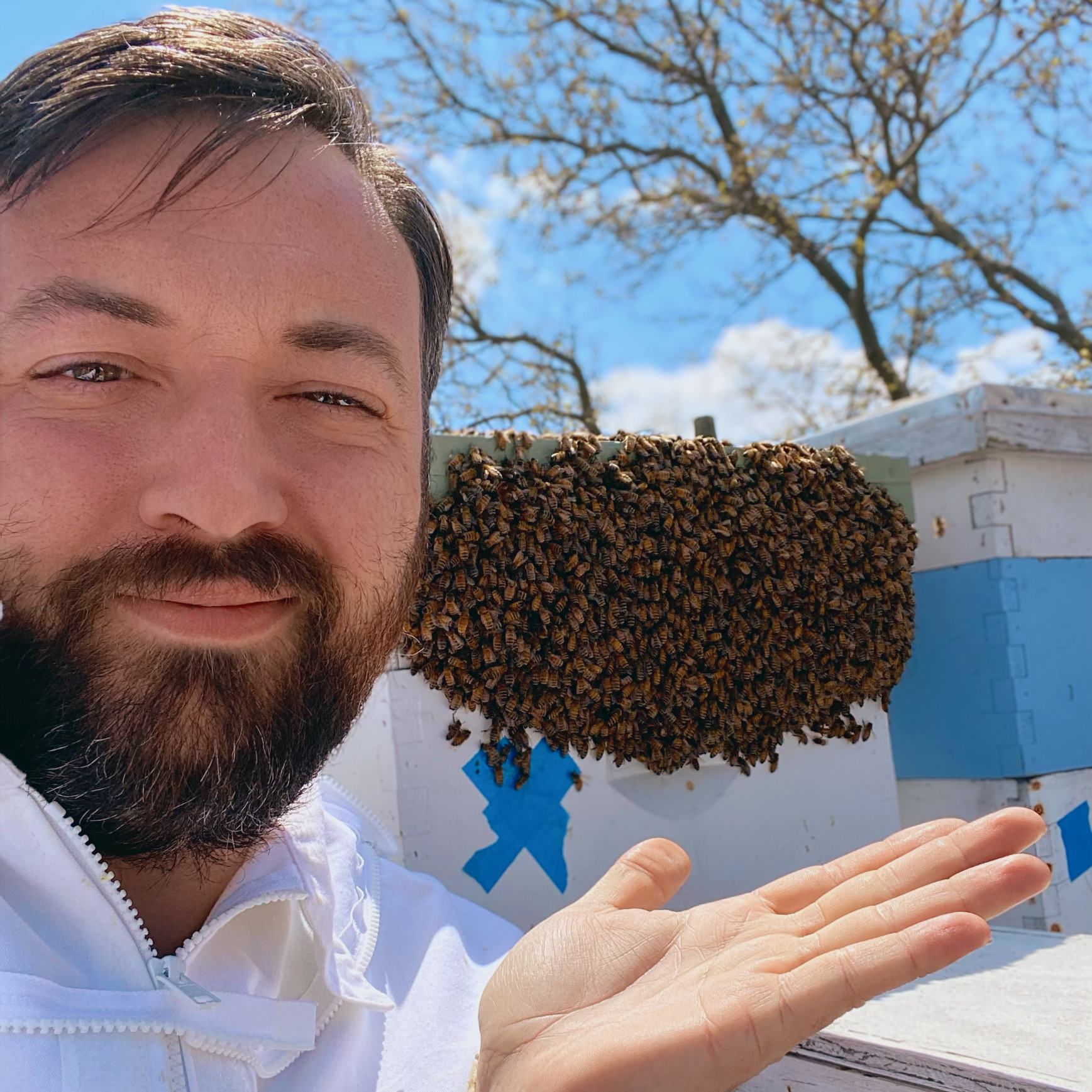 Things Every New Beekeeper Should Think About - The NYC Beekeeper