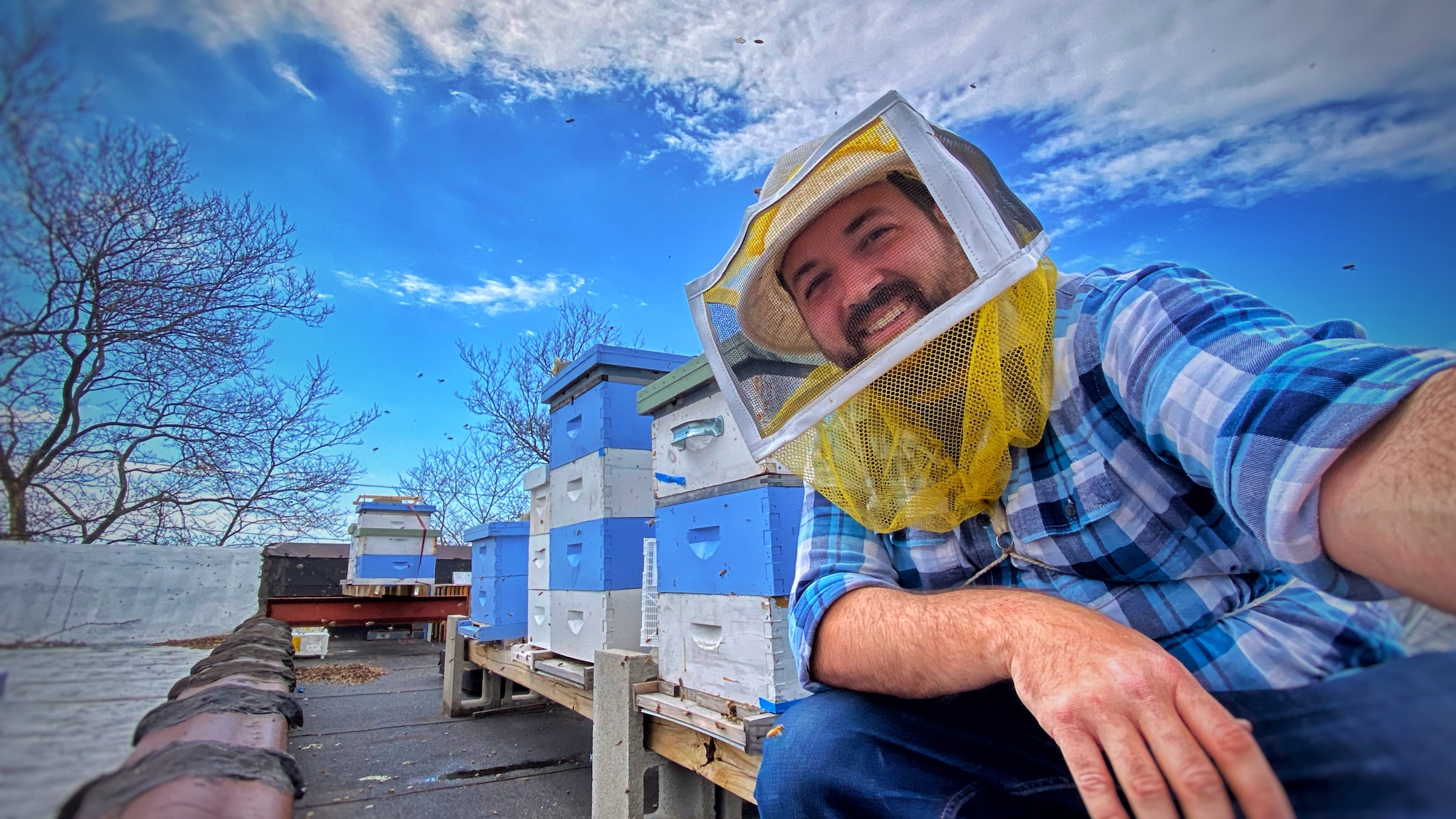 Speaking & Presentations - The NYC Beekeeper