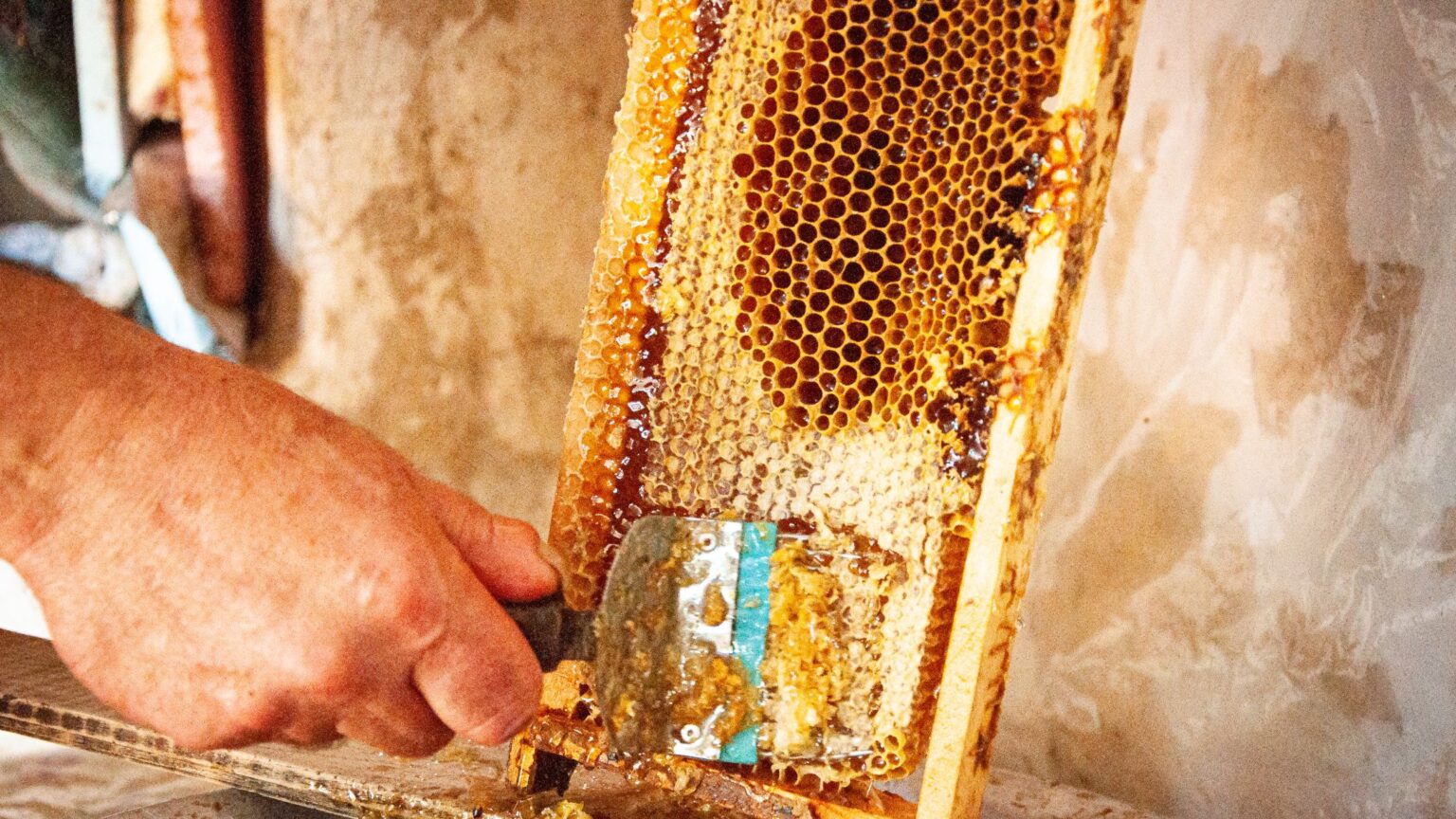 Beekeeping Resolutions: Setting Goals for the New Year - The NYC Beekeeper